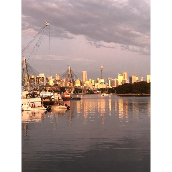 Can Too Foundation - Phillip Donaldson